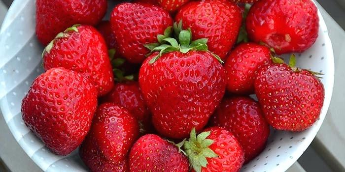 STRAWBERRY PLANTING GUIDE - Organic Heirloom Gardens - Organic Heirloom ...